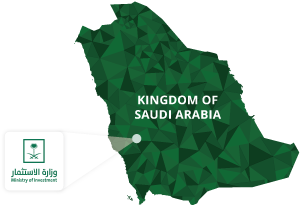 KSA business setup, KSA company formation consultant & cost