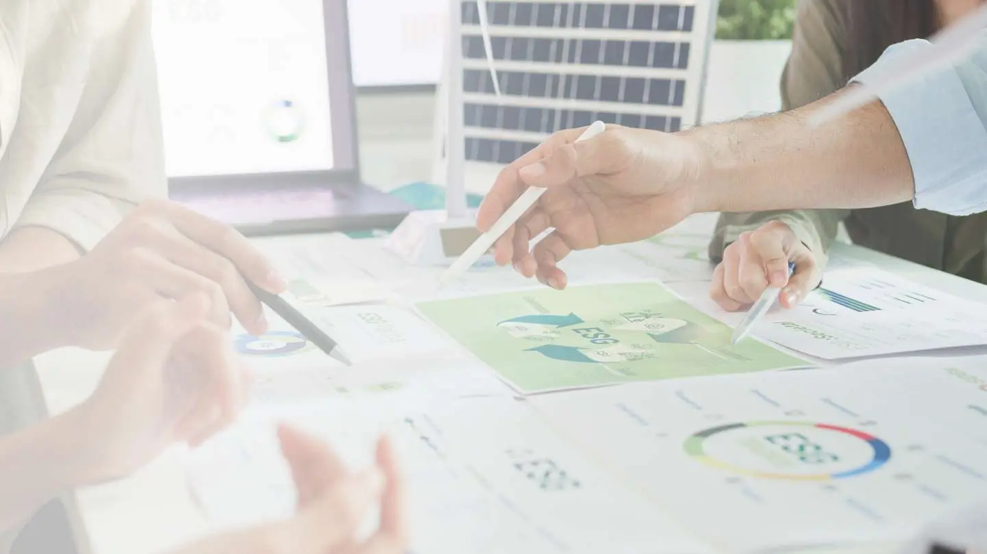 Offshore Business Consultancy Service Dubai | SFM