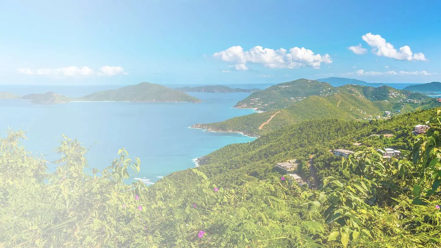 Vista Trust: BVI, British Virgin Island Vista Trust | SFM